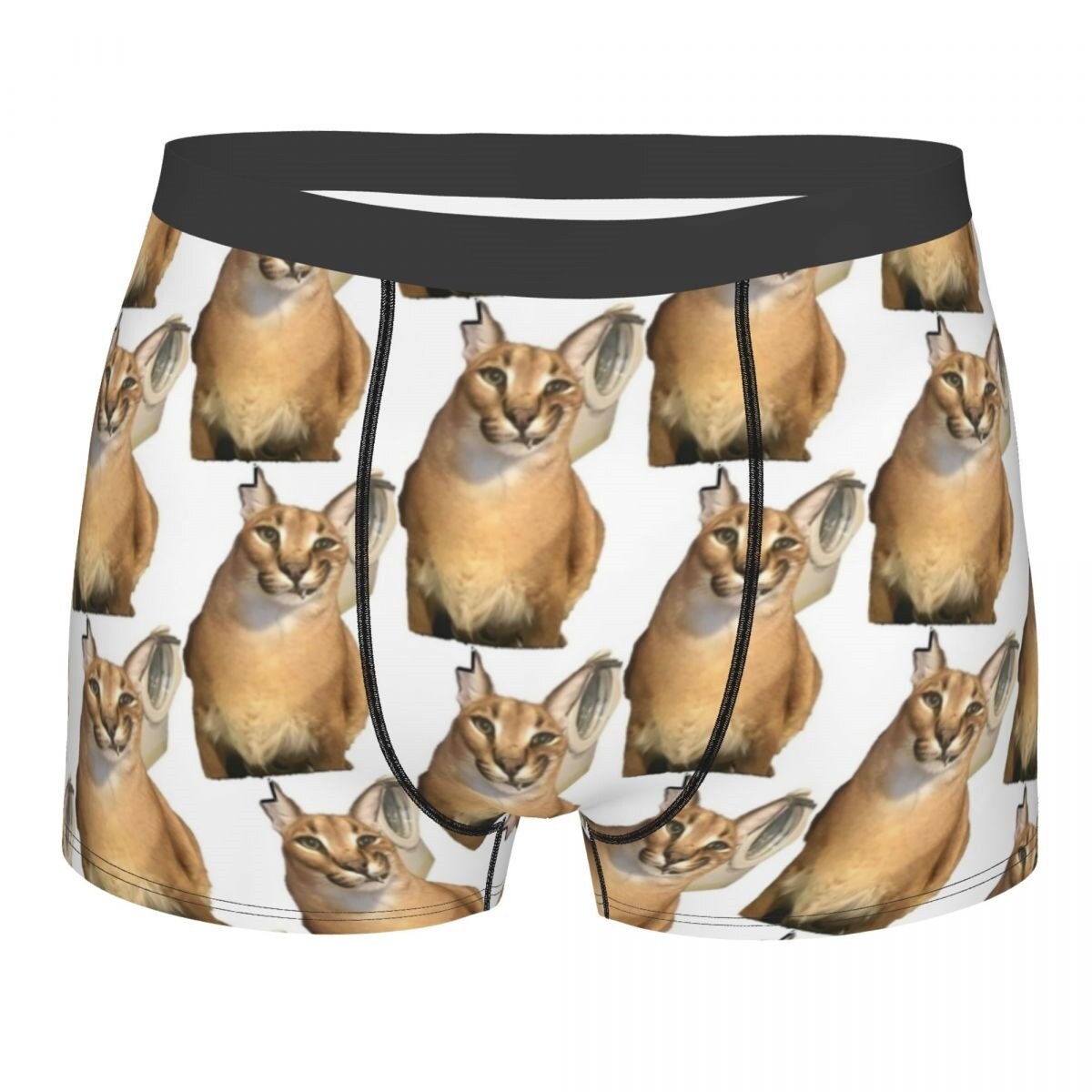 Floppa giá tốt Tháng 10,2022|BigGo Việt Nam