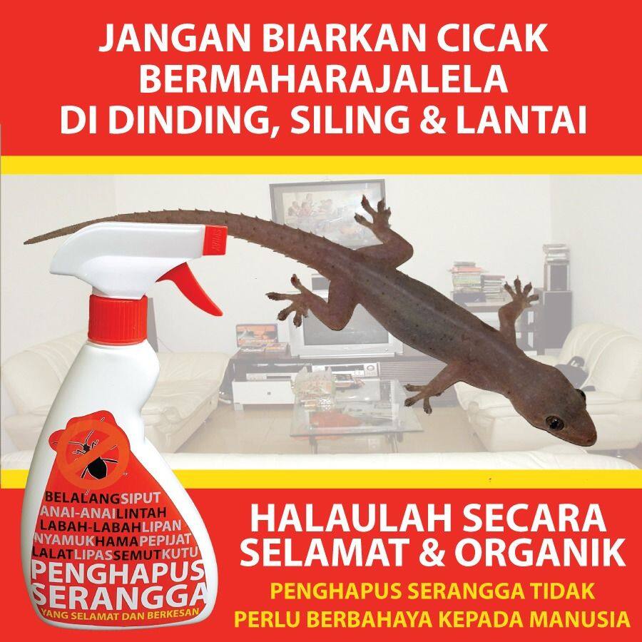 [HOT DEMAND] RACUN PENGHAPUS CICAK | PGMall